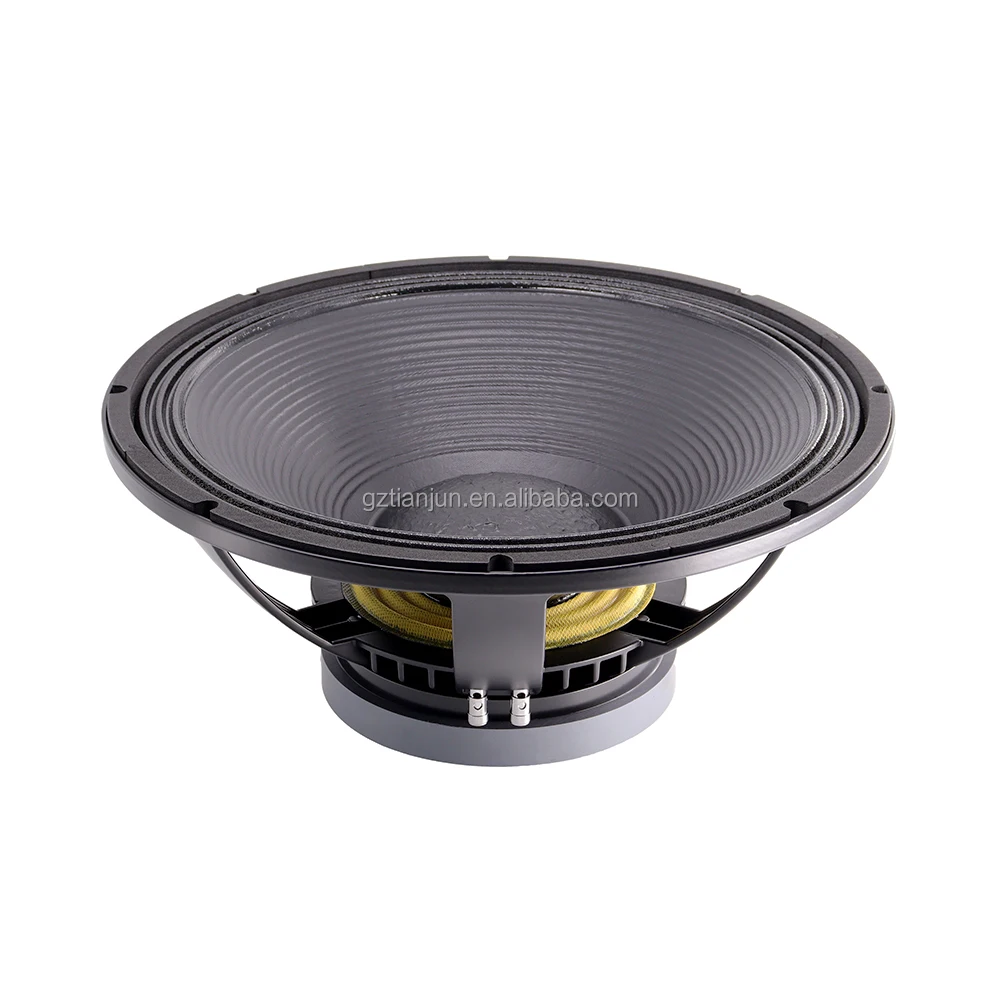 18 Inch Subwoofer - Powerful Bass Speakers for Professional Audio