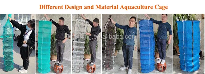 Scallop Hatchery - Efficient Culture Nets for Aquatics