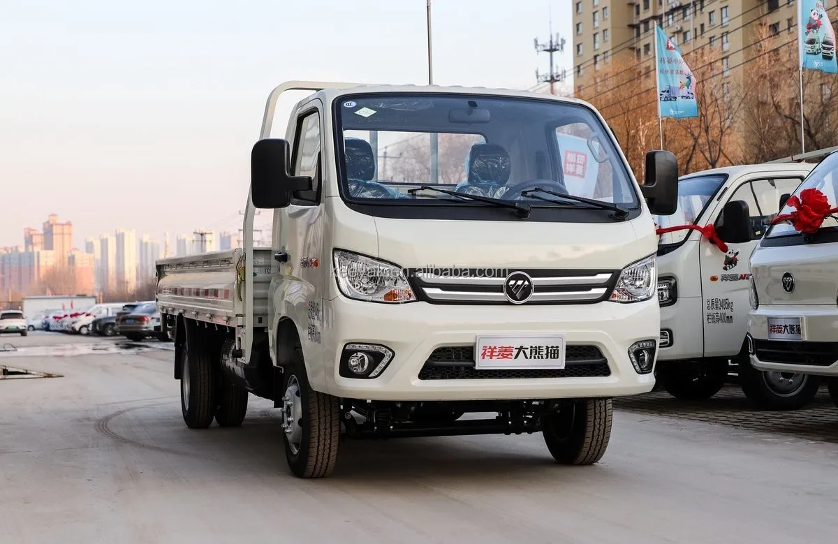Foton TM300 Mini Gasoline Truck - 3 Ton Cargo Carrier