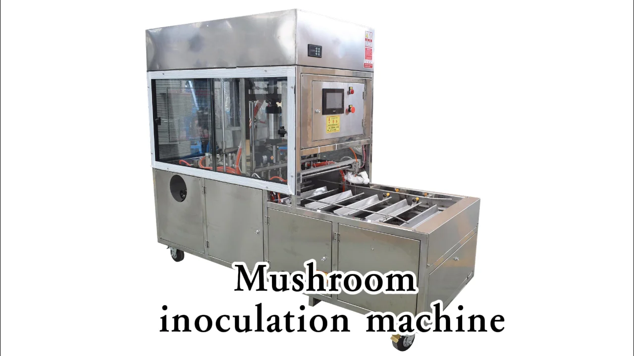 Made In China Fungus Spawn Inoculation Machinery Mushroom Inoculation ...