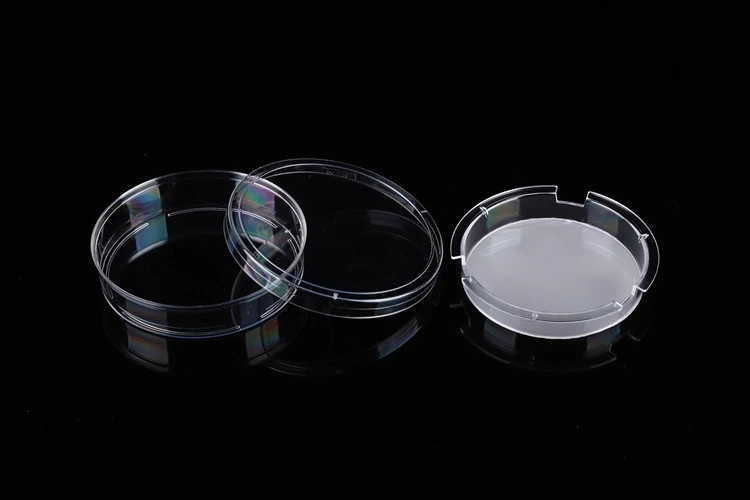 Disposable PC Membrane Transwell Cell Culture Inserts 12-Well Plates ...