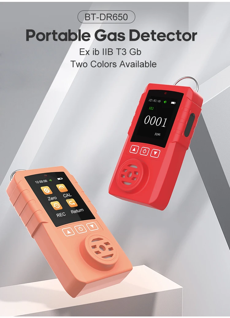 RTTPP DR650 Single Toxic and Combustible Gas Detector Sensitive O2 / CO ...