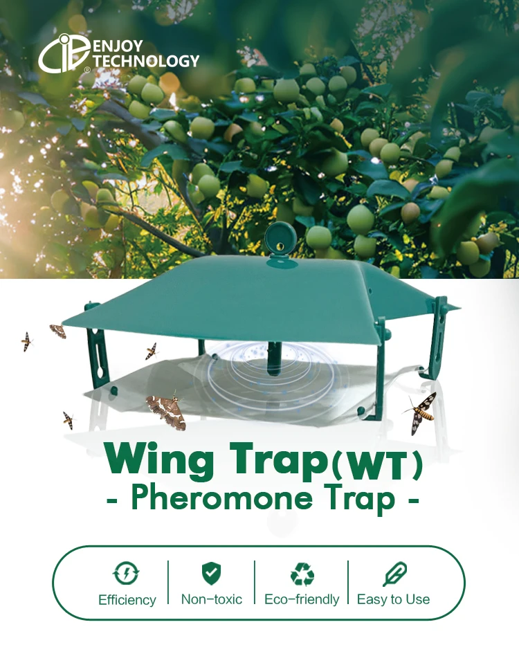 Cotton Bollworm Traps Helicoverpa Armigera Pheromone Lure Moth Bait ...