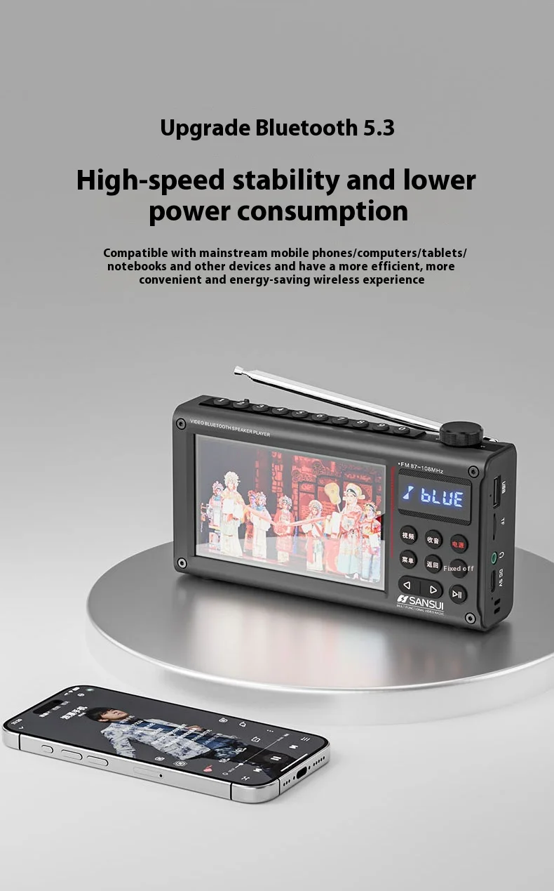 SANSUI F69 Portable Bluetooth FM Radio & Video Player with Dual ...