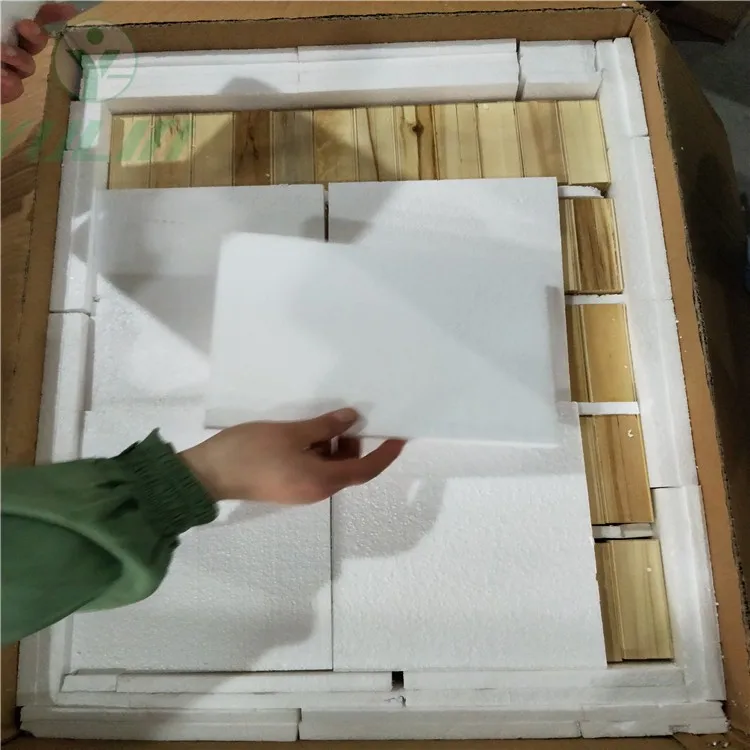 Medical Protozoa Parasitology Prepared Slides - Buy Factory Custom Fast ...