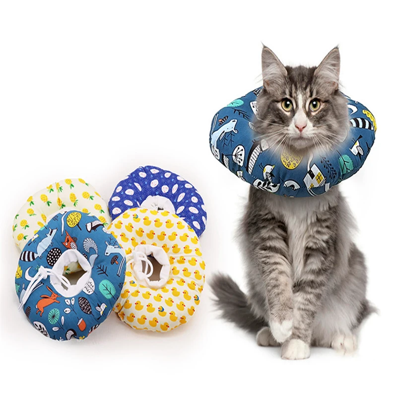 Elizabeth Collar Surgical Cone Cat Elizabeth Collar For Dogs Pet Health ...
