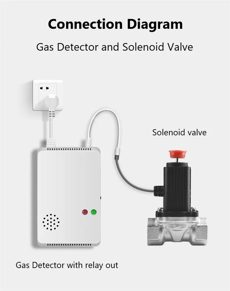 Wholesale DC Emergency Relay Valve Shut off LPG Safety