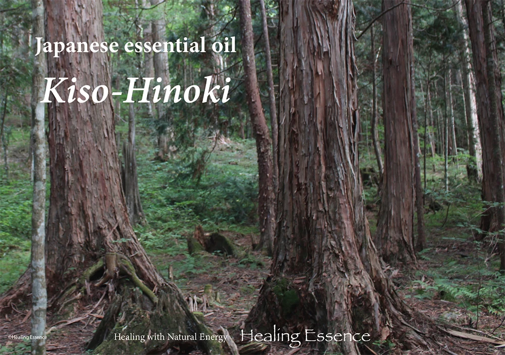 Japanese Essence Engine Diffuser Aromatherapy Oils Wholesale - Buy Diffuser Aromatherapy Oil ...