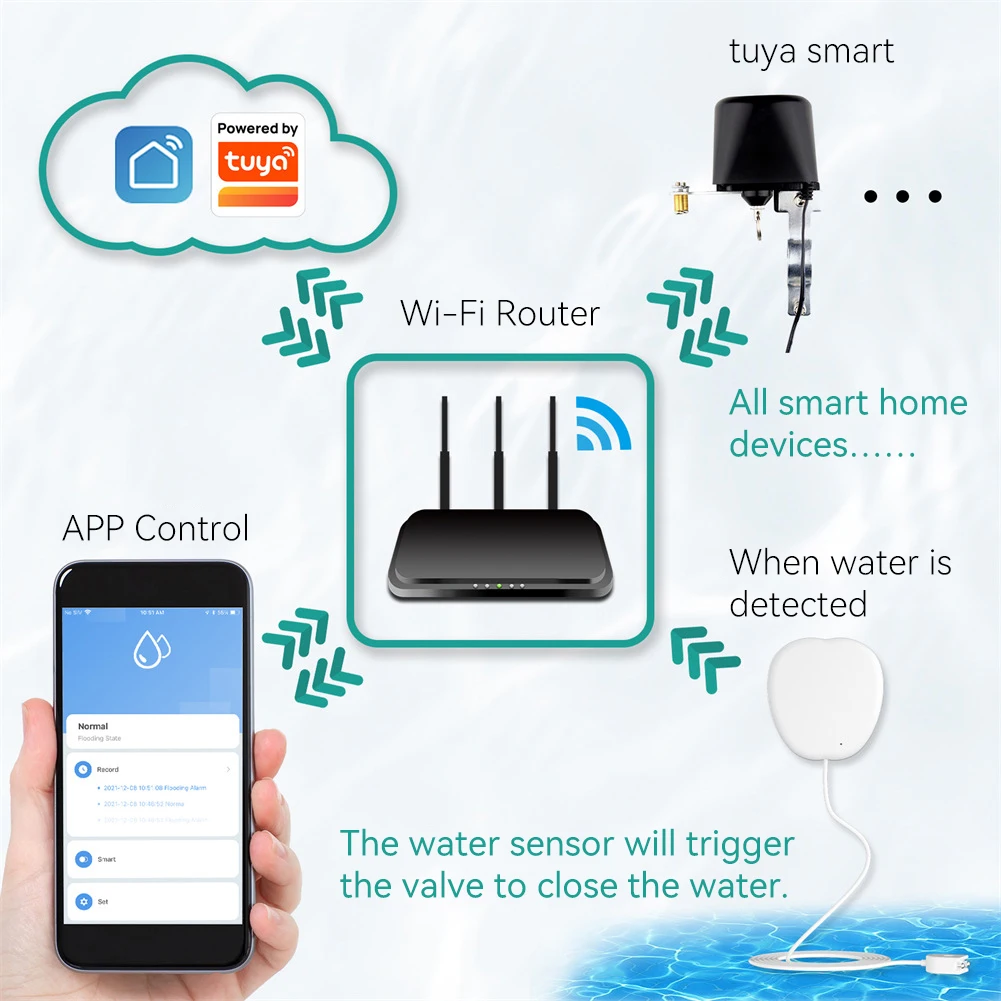 Tuya Wifi Smart Home Water Immersion Sensor - Alarm & Control