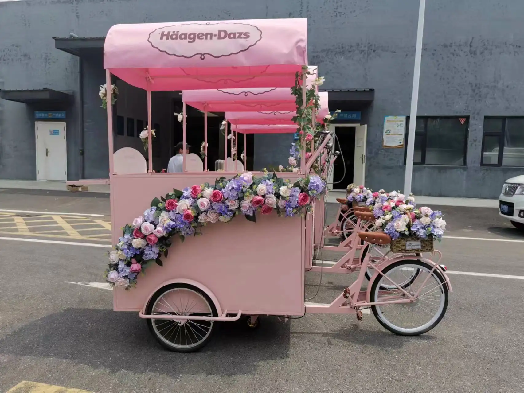 Tricycle for Food Delivery - Fast Motor & Multifunctional