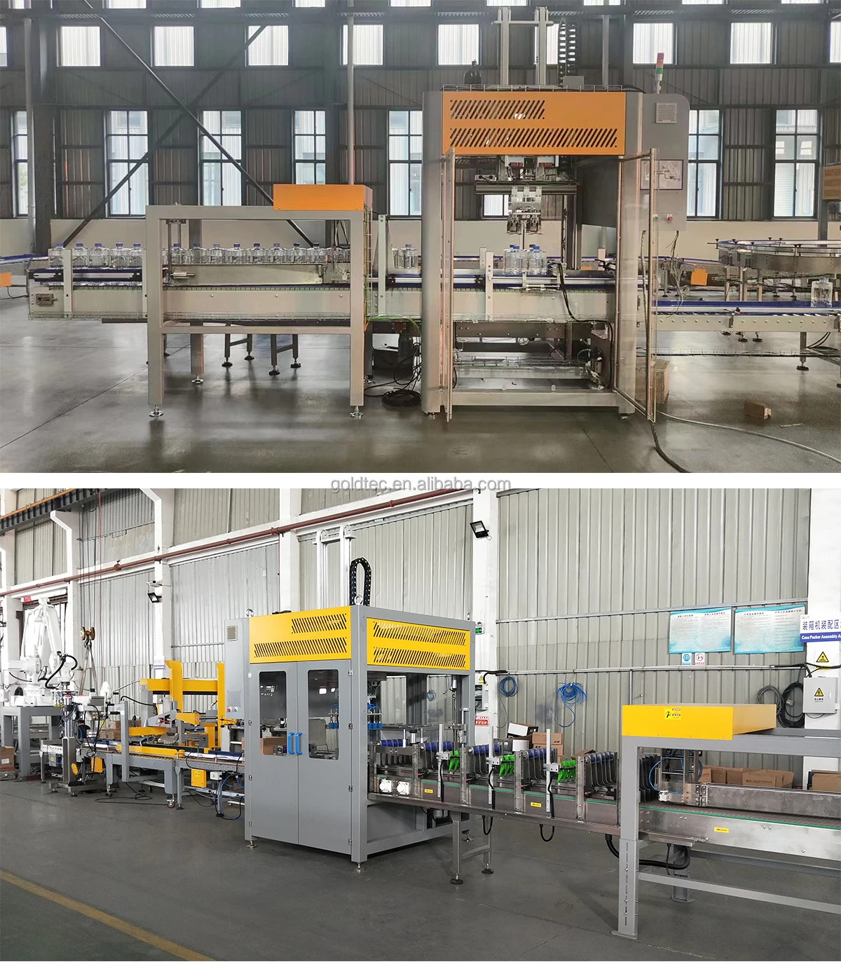 Automatic Carton Packer for Bottles - High Efficiency