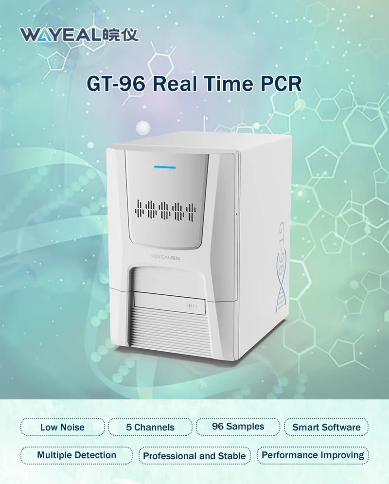Wayeal Gt96 5 Channels Fluorescence Quantitative Real-time Pcr System ...