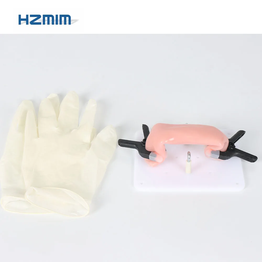 Intestine Suture Pad Training Modules - Bowel Suture Practice