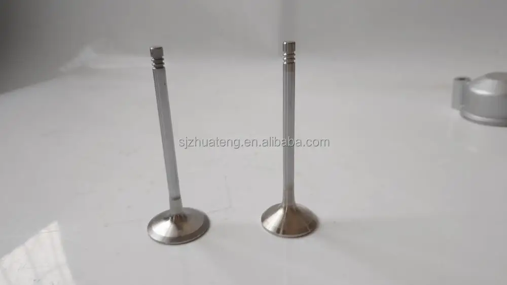 Water-cooled Diesel Engine Parts Bfm1015 Intake Valve 04226413 04220143 ...