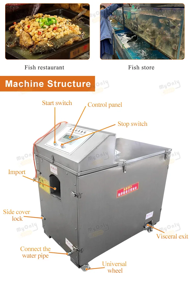 Stainless Steel Fish Gut Cleaning Machine - 500 Pcs/h