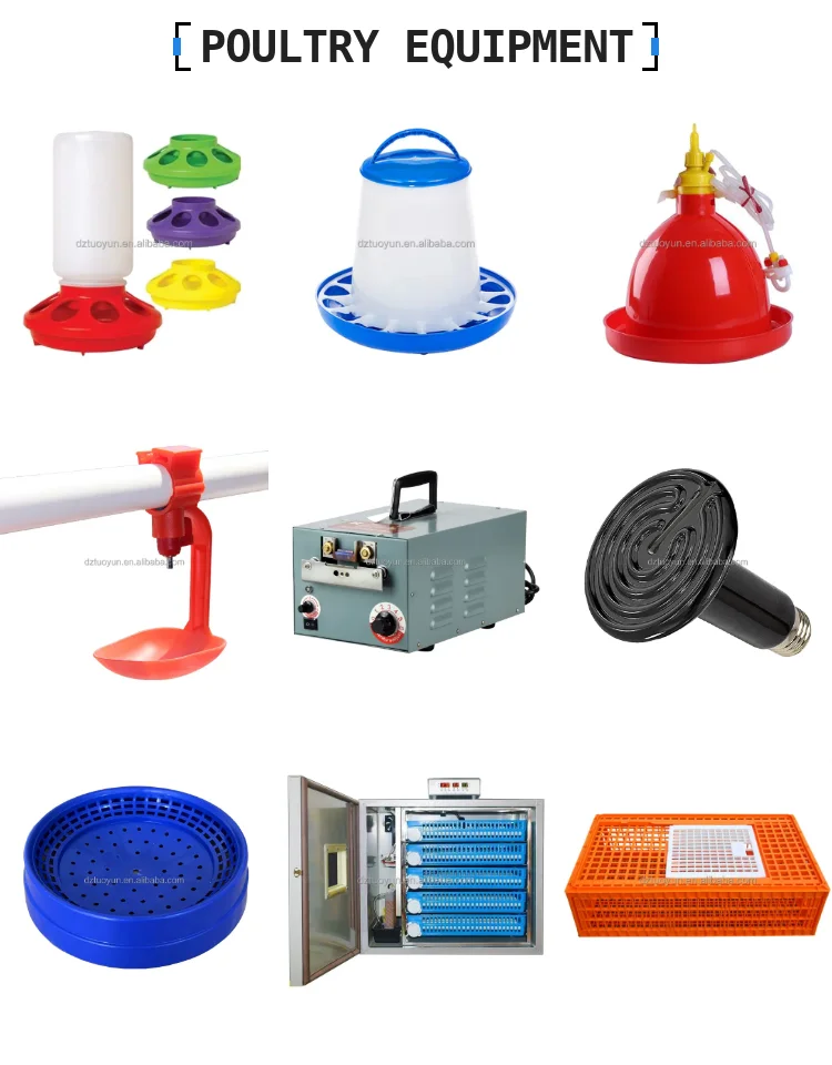 Tuoyun Recommend Debeaker Chickens New Debeaked Chicken Automatic ...