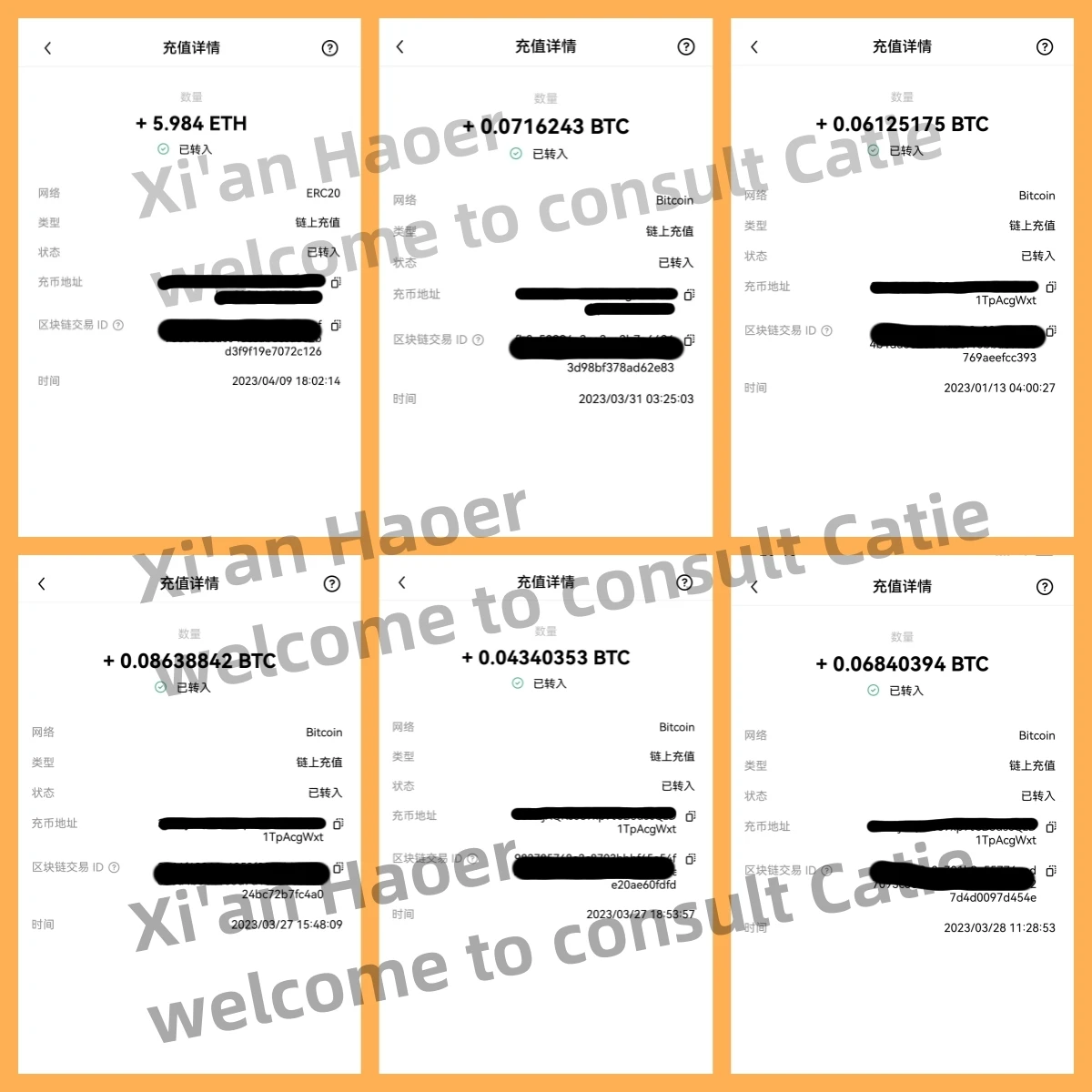 High Purity Dmt Pure Dimethyl Terephthalate Synthetic Powder Dmt Powder ...