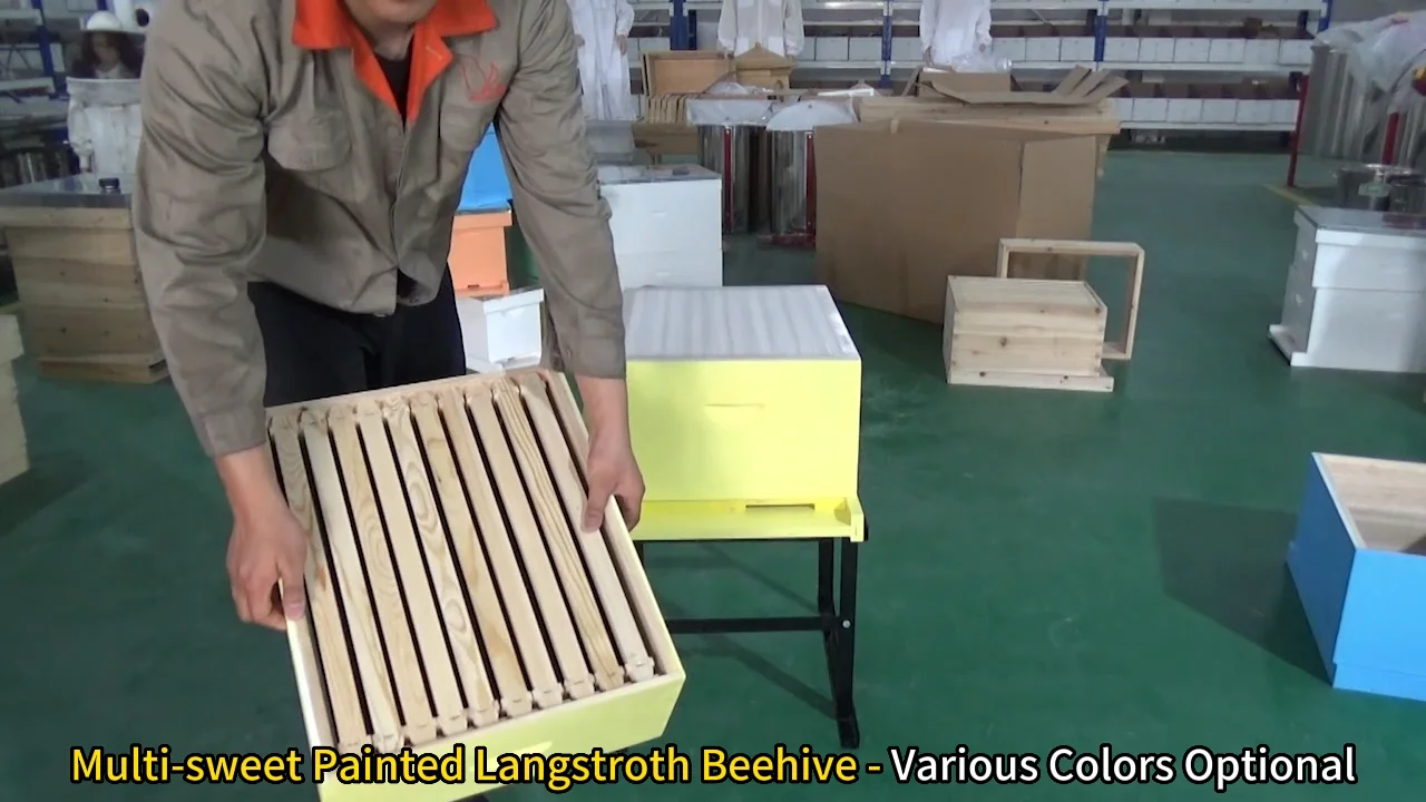 Color Painted Langstroth Bee Hives Beehive Box For Beekeeping - Buy ...