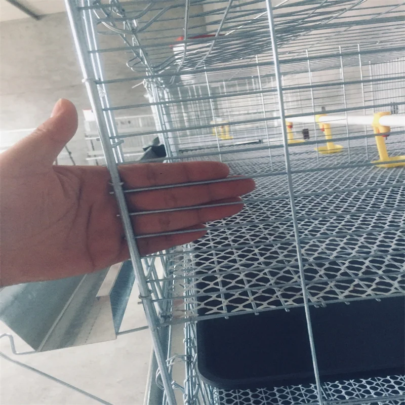 Chick Brooder Broiler/brooding Pakistan Broiler Cage - Buy Brooder Heat ...