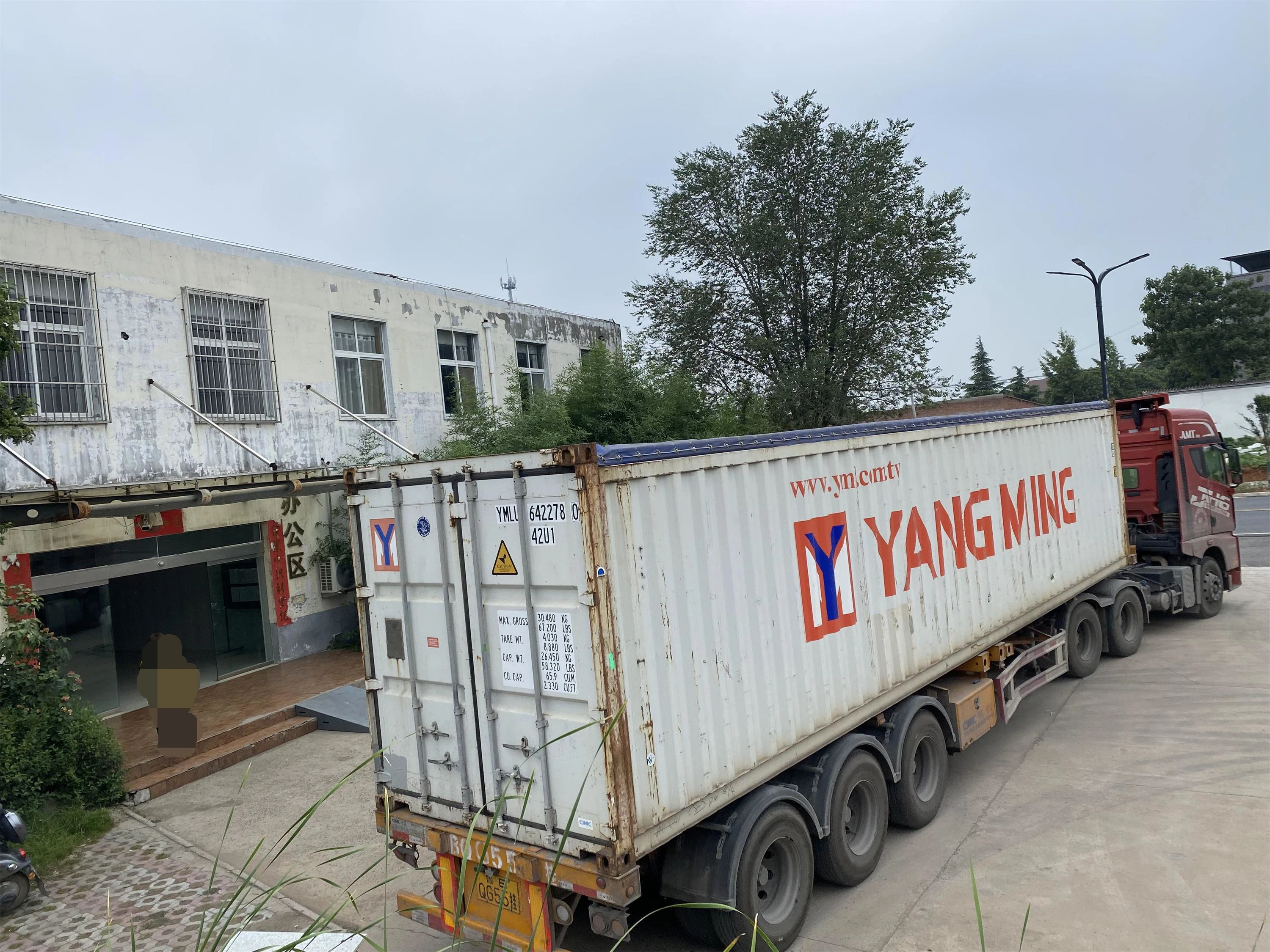 Dry Ski Mat for Indoor & Outdoor Training - Real Snow Feel for Skiing ...