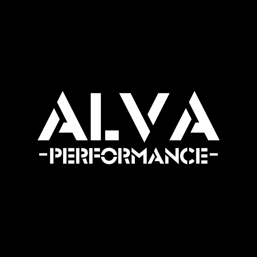 Company Overview - Dongguan Alva Auto Parts Co., Ltd.