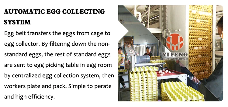 Good Price Automatic Poultry Farm A Type 5000 Birds Laying Hens Battery ...