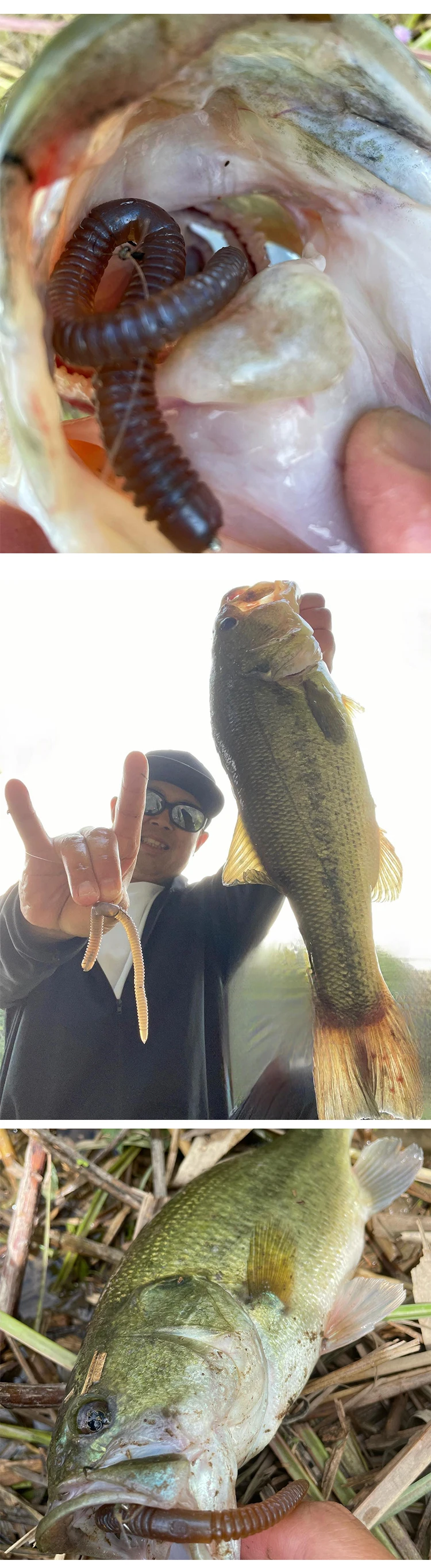 Chang Ji Noko Rig Worm 5 Inch - Buy Chang Ji,Noko Rig Worm 5 Inch ...