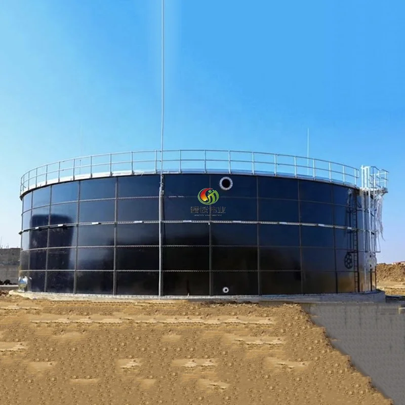 Biogas Digester Plant 1000m3/2500m3 | Efficient Waste Treatment ...