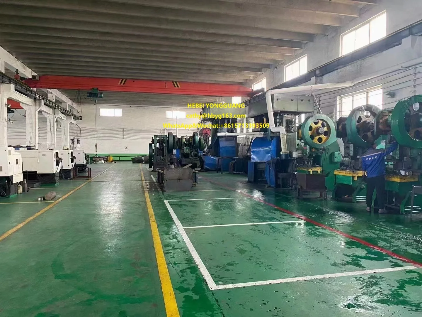 Factory Price Hot Dip Galvanized Casting Snail Shell Clamp Distribution ...