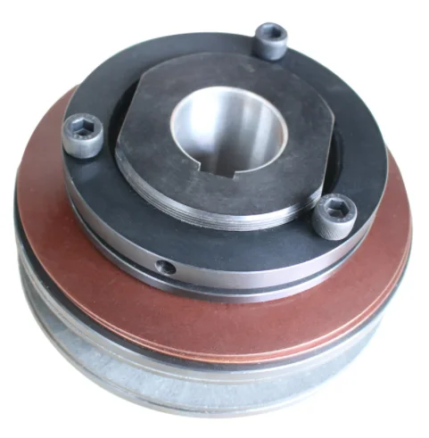 ตัวจำกัดแรงบิดแบบยืดหยุ่นมาตรฐาน TL Torque Limiter TL200 TL250 TL350 ...