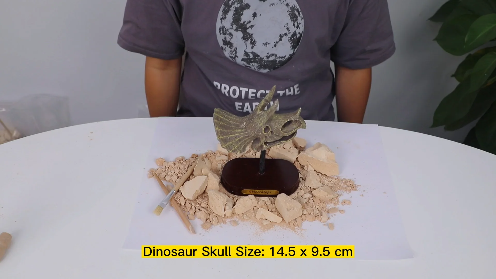 Dinosaur Excavate D7068 Dinosaur Skull Excavation Kit,4 Assorted ...