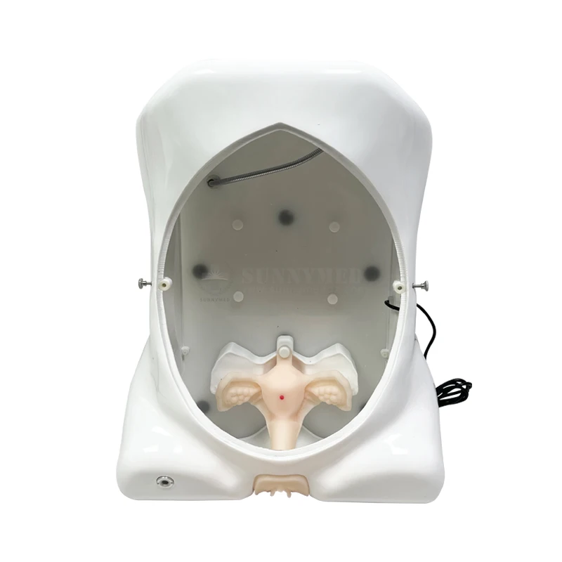 Medical Science Laparoscopic Training Box - Hysteroscopy Simulator