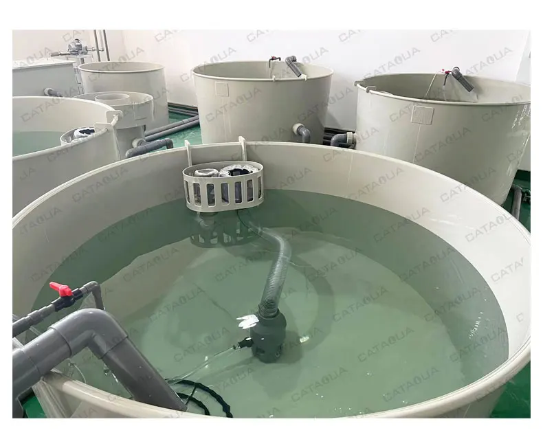 CATAQUA RAS Aquaculture Systems for Efficient Shrimp Farming