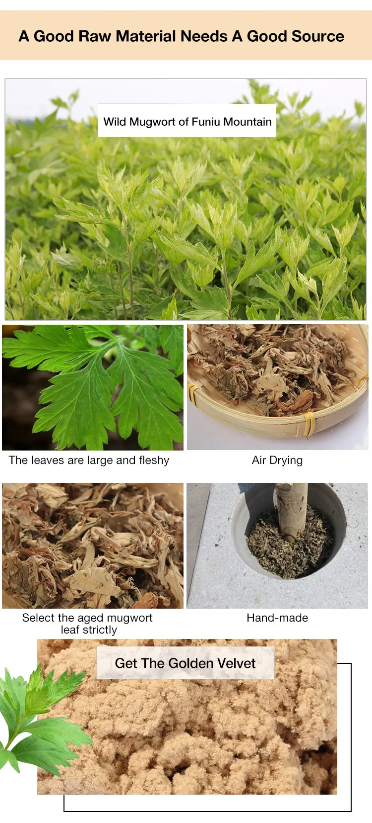 Home Type Mugwort Heat Patch Chinese Mugwort Patch Belly Button ...