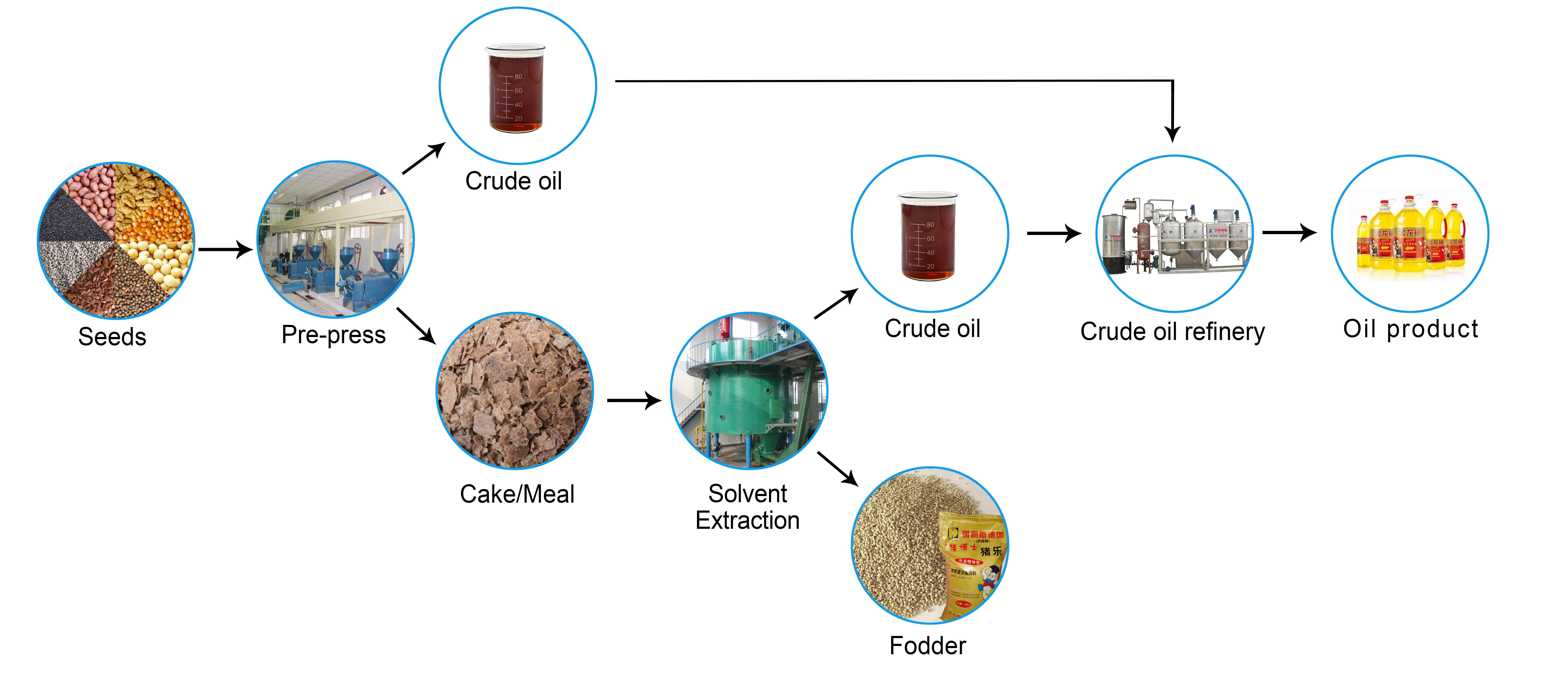 10tons/day RBD CPO Palm Oil Refining Machine - Reliable & Efficient