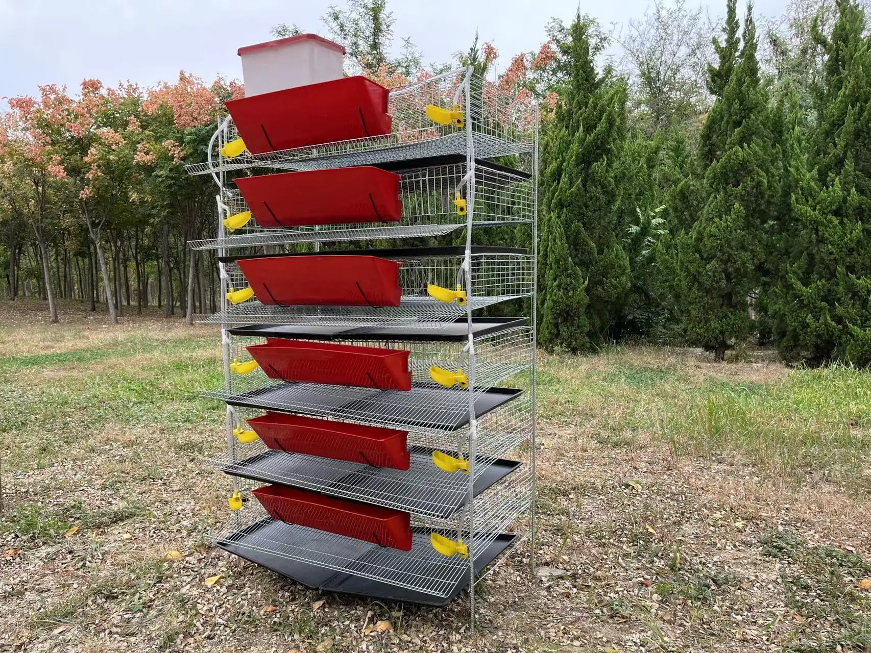 Quail Cage for Commercial Use - Jumbo Quails & Fertilized Eggs