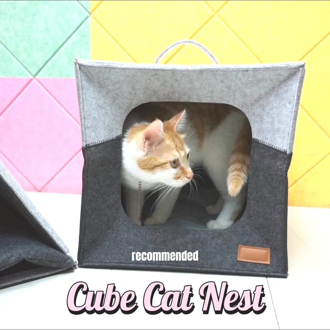 Modern Indoor Folding Felt Pet House Travel Cat Cube Cat House For ...