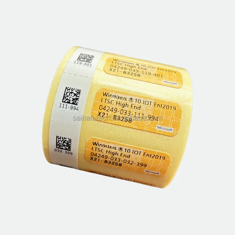 Windows 10 IoT Enterprise 2019 LTSC License Sticker Key - 3 Months Support