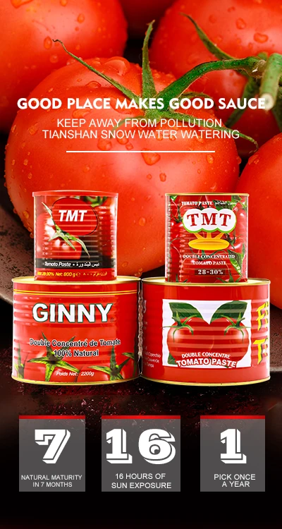 Dubai Safa Brand Tomato Paste 70g 210g 400g With Low Price In Different Sizes Canned Tomato ...