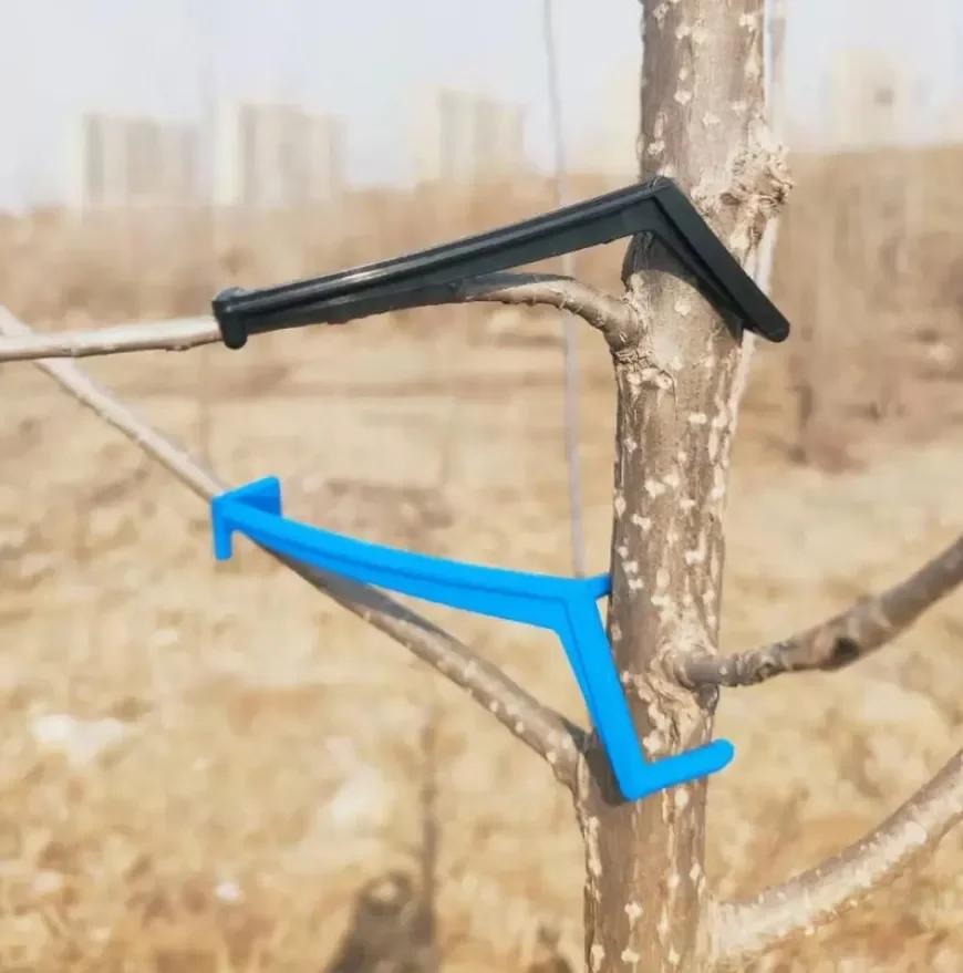 Agricultural Branch Limb Spreader Apple Fruit Tree Plant Branches ...
