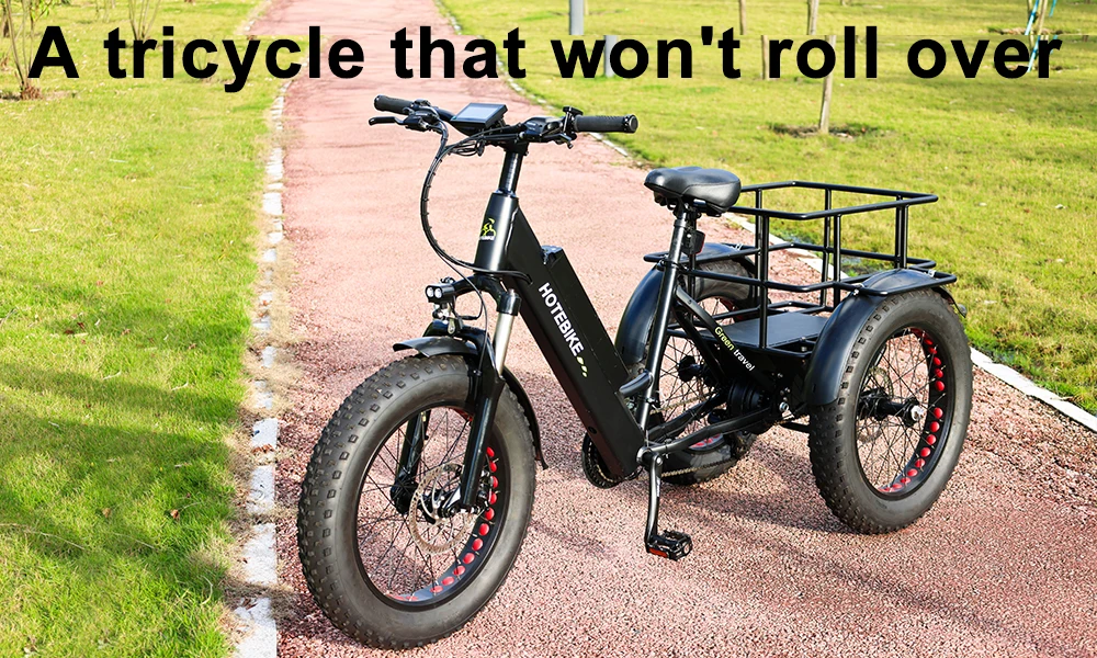 Shuangye 3 Wheel Electric Bike - Fat Tire & High Motor Power