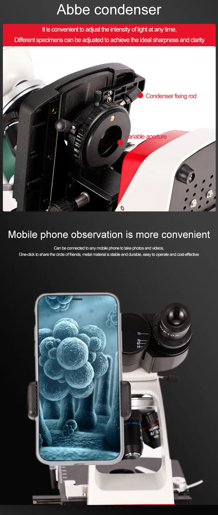 5000X HD Biological Medical Laboratory Professional Light Binocular ...