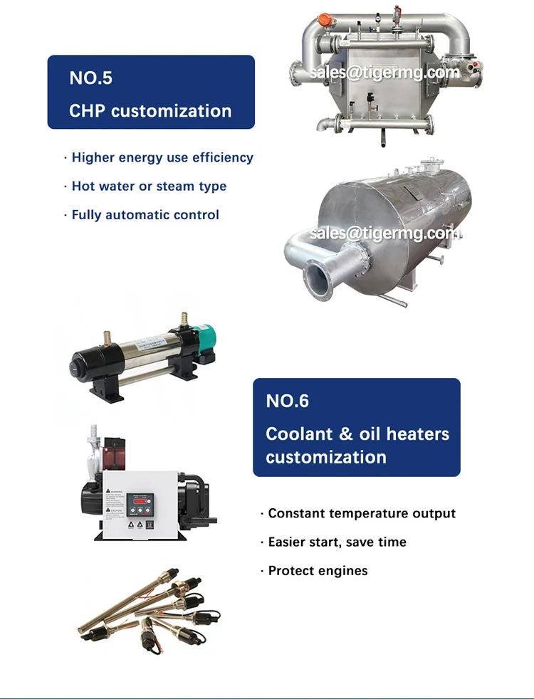 Small Wood Biomass Gasifier Generator for Household Power