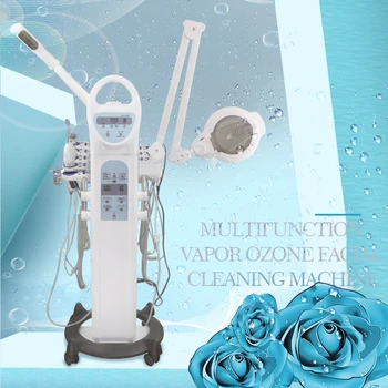 11 In 1 Multifunction Salt Facial Steamer Salon Use Multifunctional ...