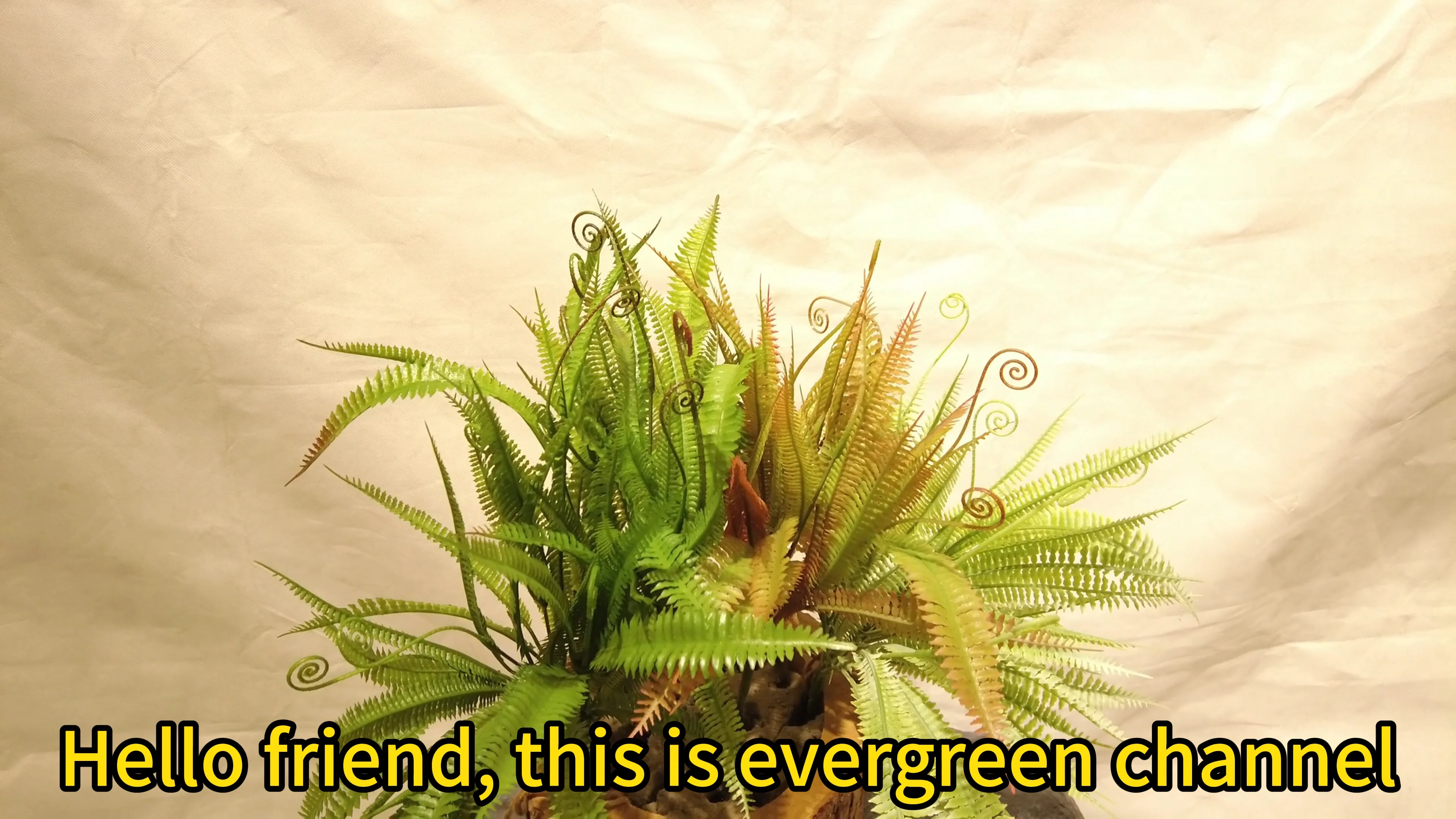 Eg-j231 New Arrival Simulated Fern Persian Leaf Long Fern Leaves Indoor ...