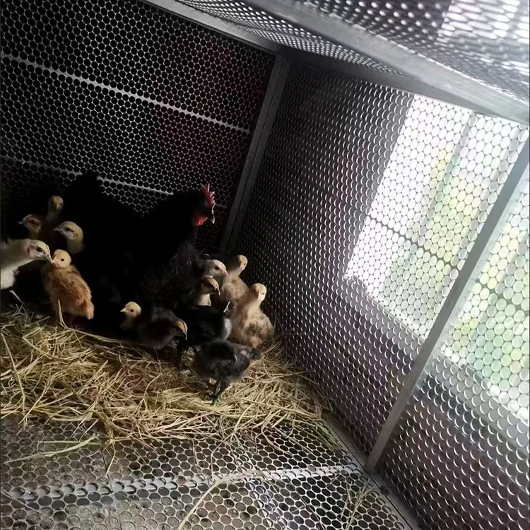 Stackable Feeding Animal Cages Galvanized Poultry Cat Dog Pet Cage ...