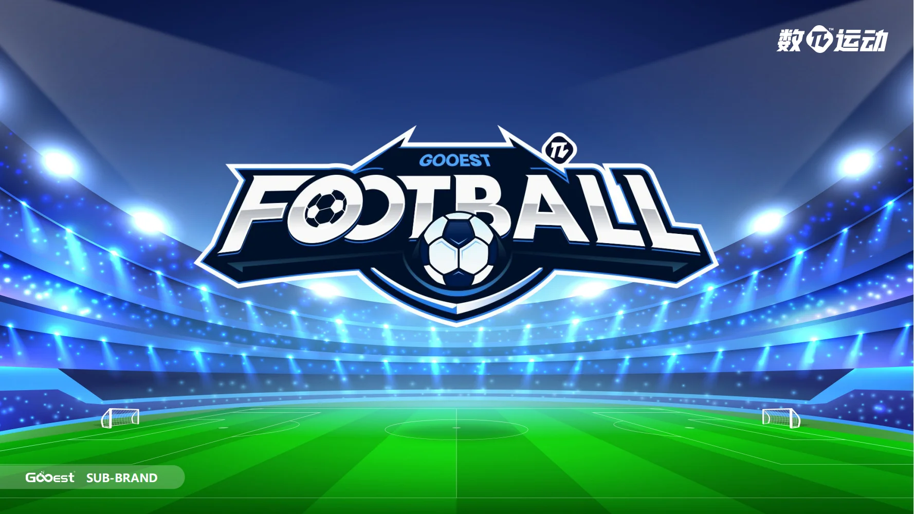Large Indoor Interactive Entertainment Football Stadium
