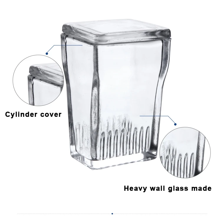 Loikaw Laboratory Histology Tissue Slide Glass Staining Jar Stainless ...