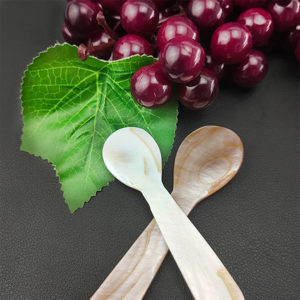 Natural Deep Sea Shell Spoon Tableware Home And Seasoning Box Spoon ...