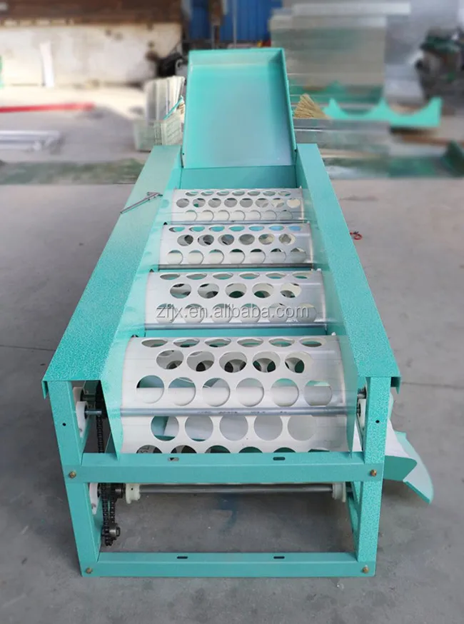 Automatic Grader Mango Fruit Grading Machine Oranges Lemon Sorting Machine